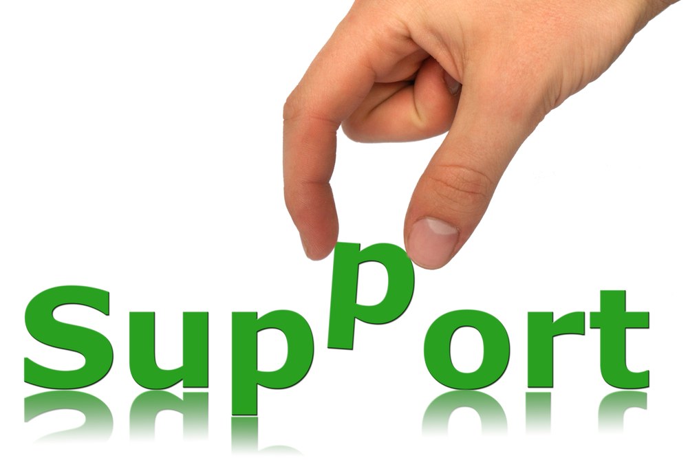 Support Fee (Annual) | ZBS Store